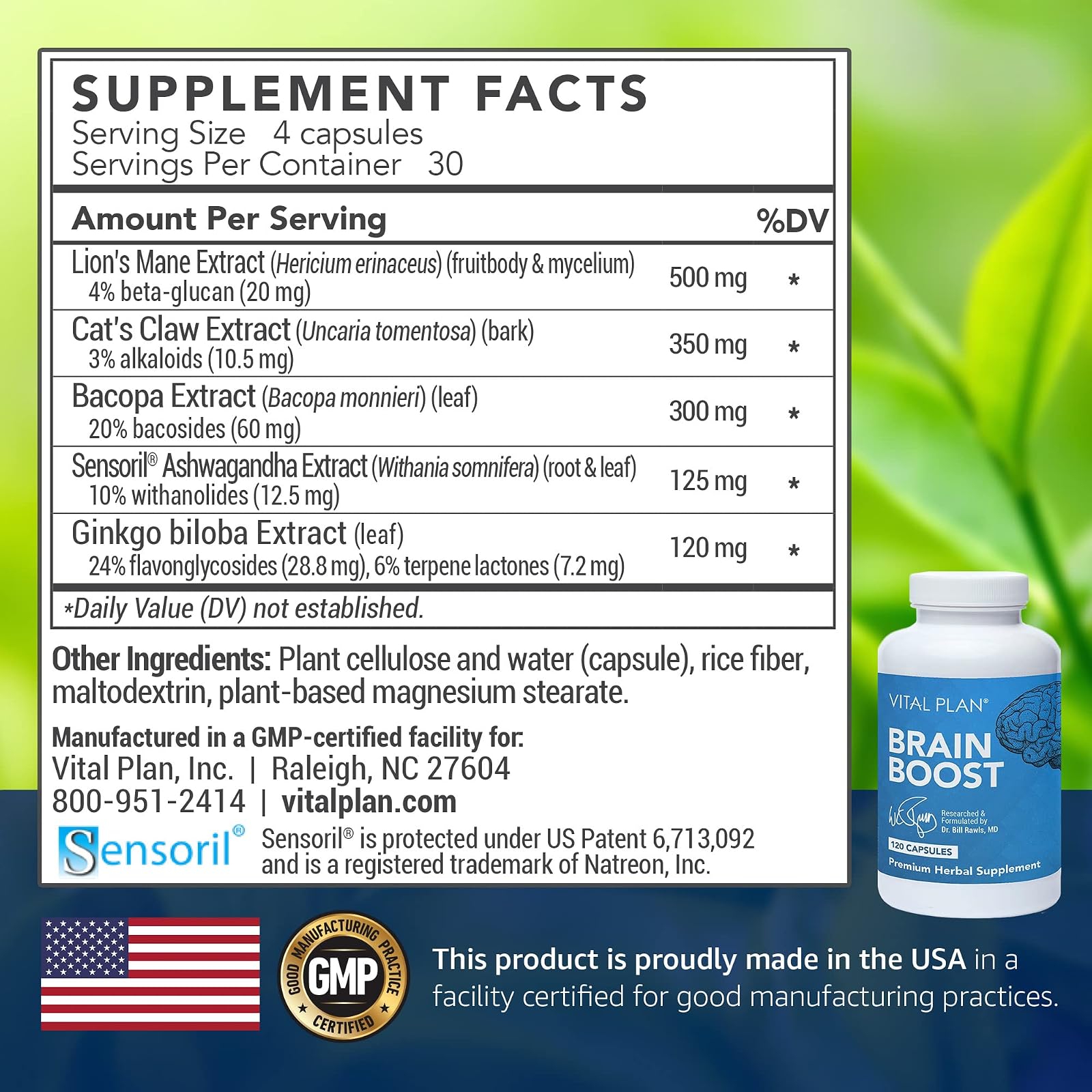 natural cognitive enhancement ginkgo biloba