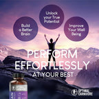 natural cognitive enhancement lion's mane