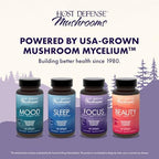natural cognitive enhancement with mushrooms