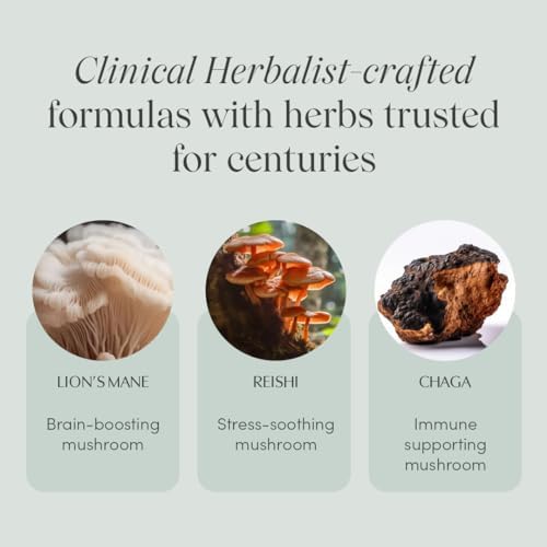 natural cognitive enhancer mushroom blend
