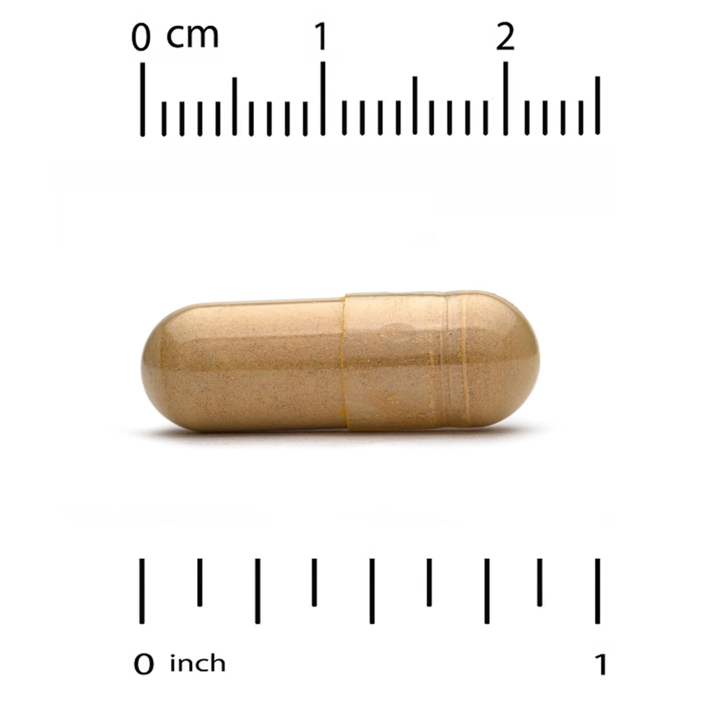 natural cognitive enhancer mushrooms