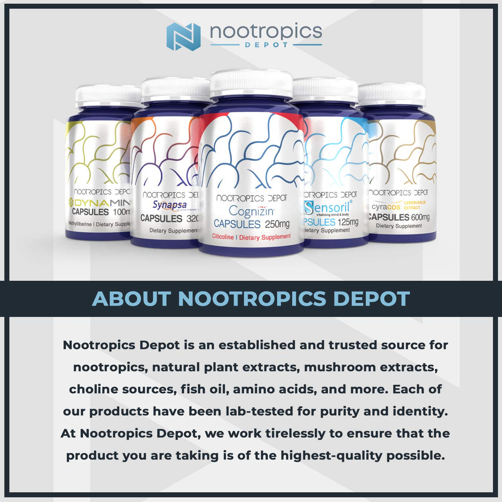 Natural cognitive enhancer Polygala Tenuifolia