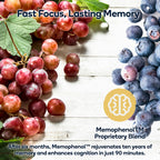 Natural cognitive support for daily use