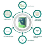 Natural cognitive support formula