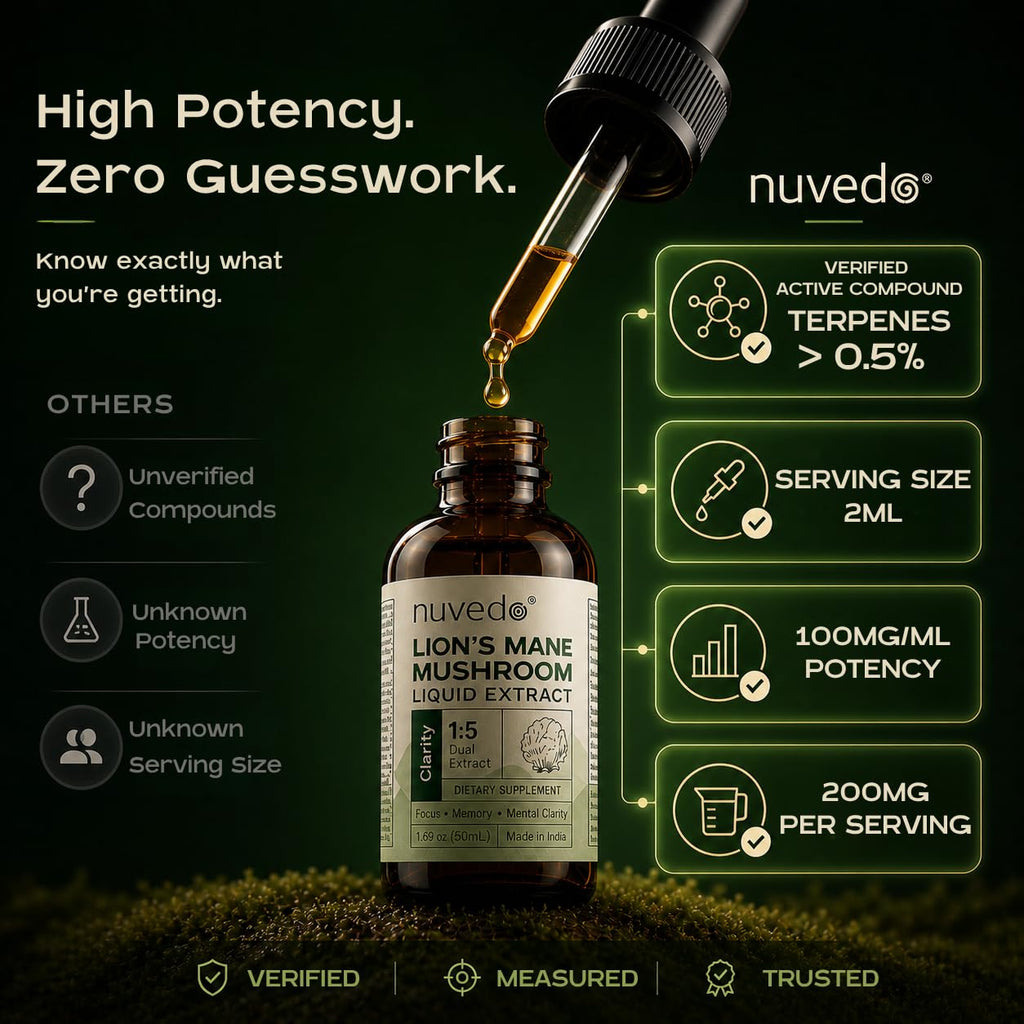 Natural cognitive support Lion's Mane extract
