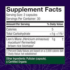 natural cognitive support lion's mane