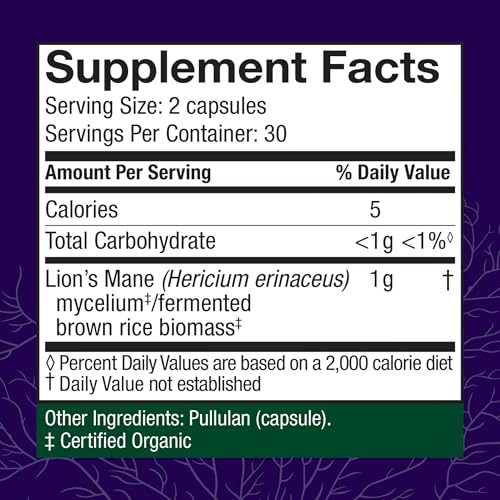 natural cognitive support lion's mane