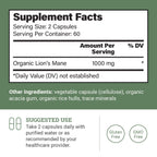 natural cognitive support lion's mane