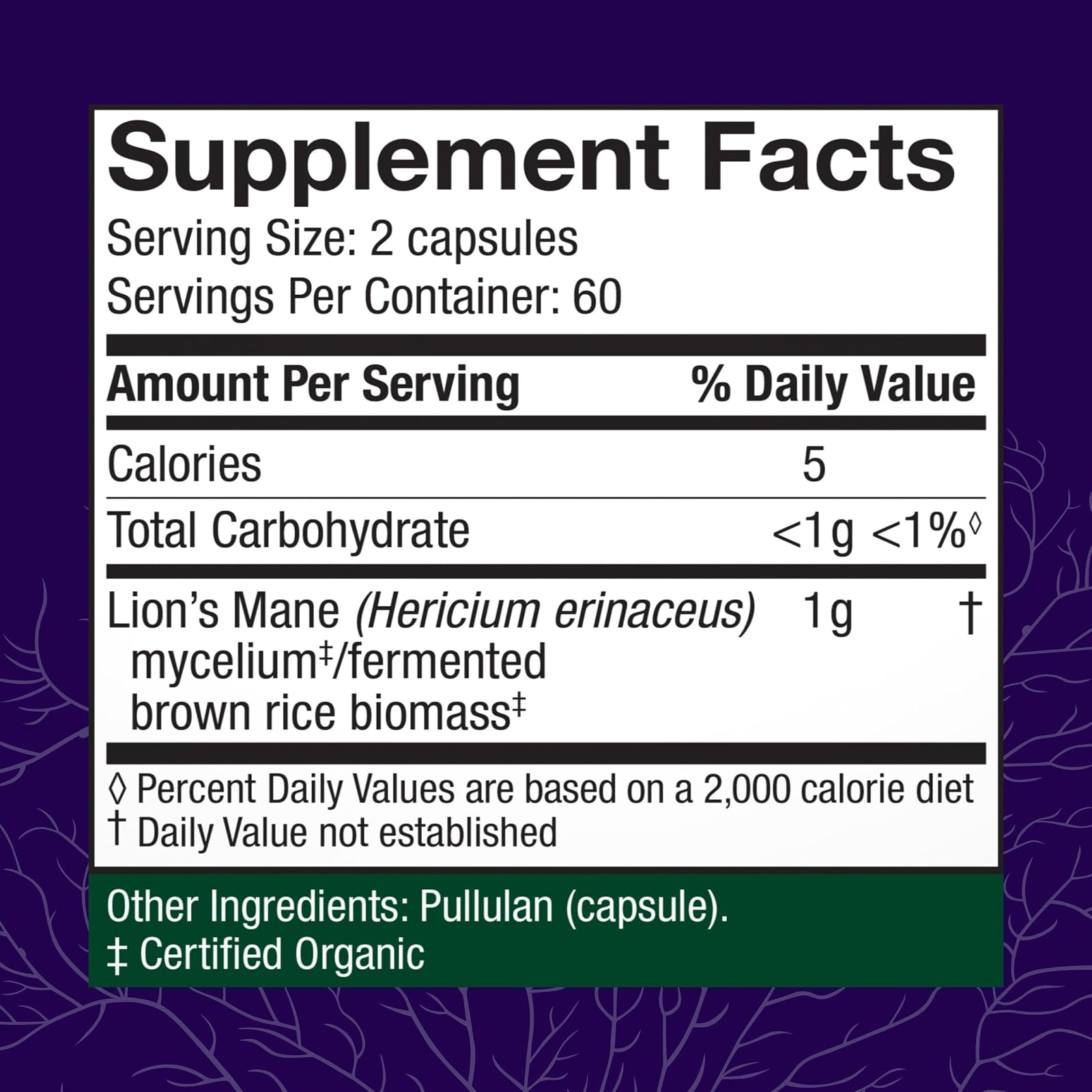 natural cognitive support lion's mane
