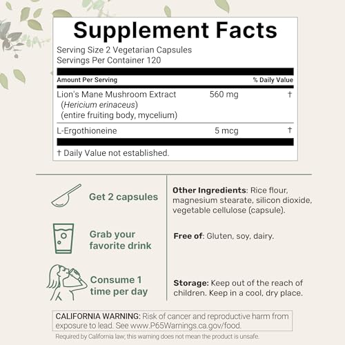 natural cognitive support lion's mane