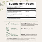 natural cognitive support lion's mane