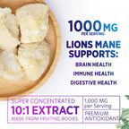 natural cognitive support Lion's Mane