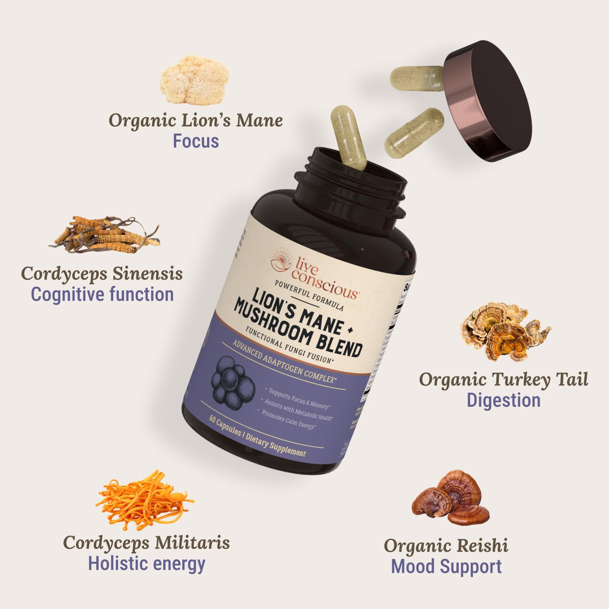 natural cognitive support lion's mane