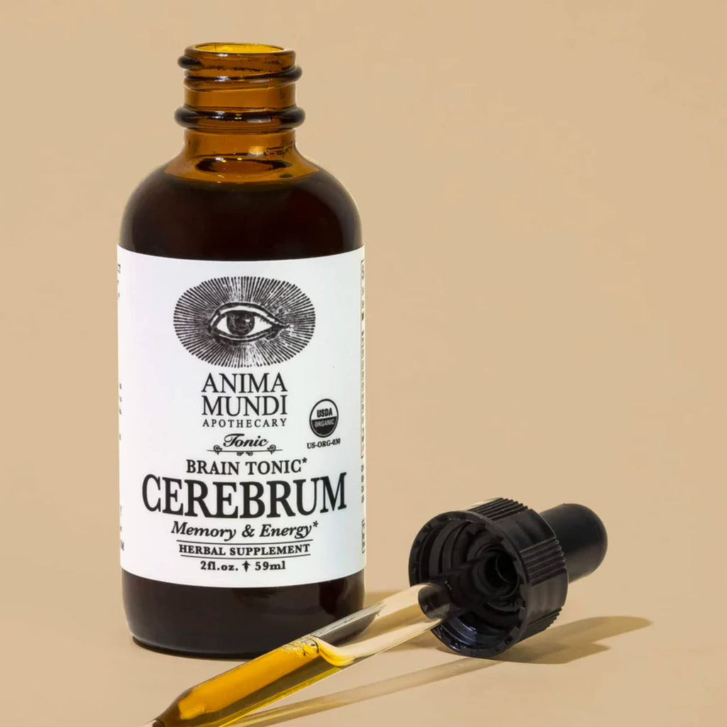 natural cognitive support lion's mane