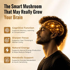 natural cognitive support lion's mane