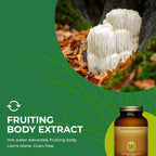 Natural cognitive support Lion's Mane