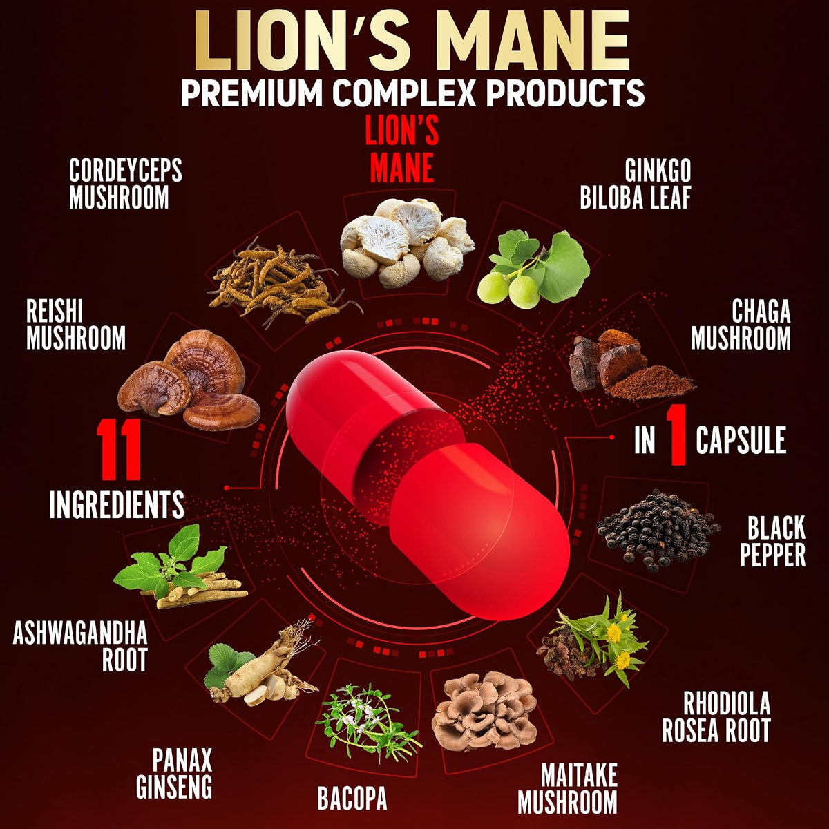natural cognitive support lion's mane