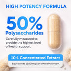 natural cognitive support Lion's Mane
