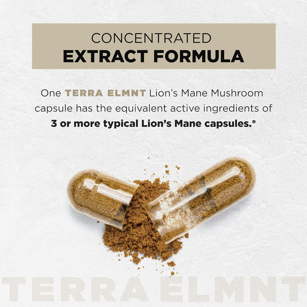 natural cognitive support lion's mane