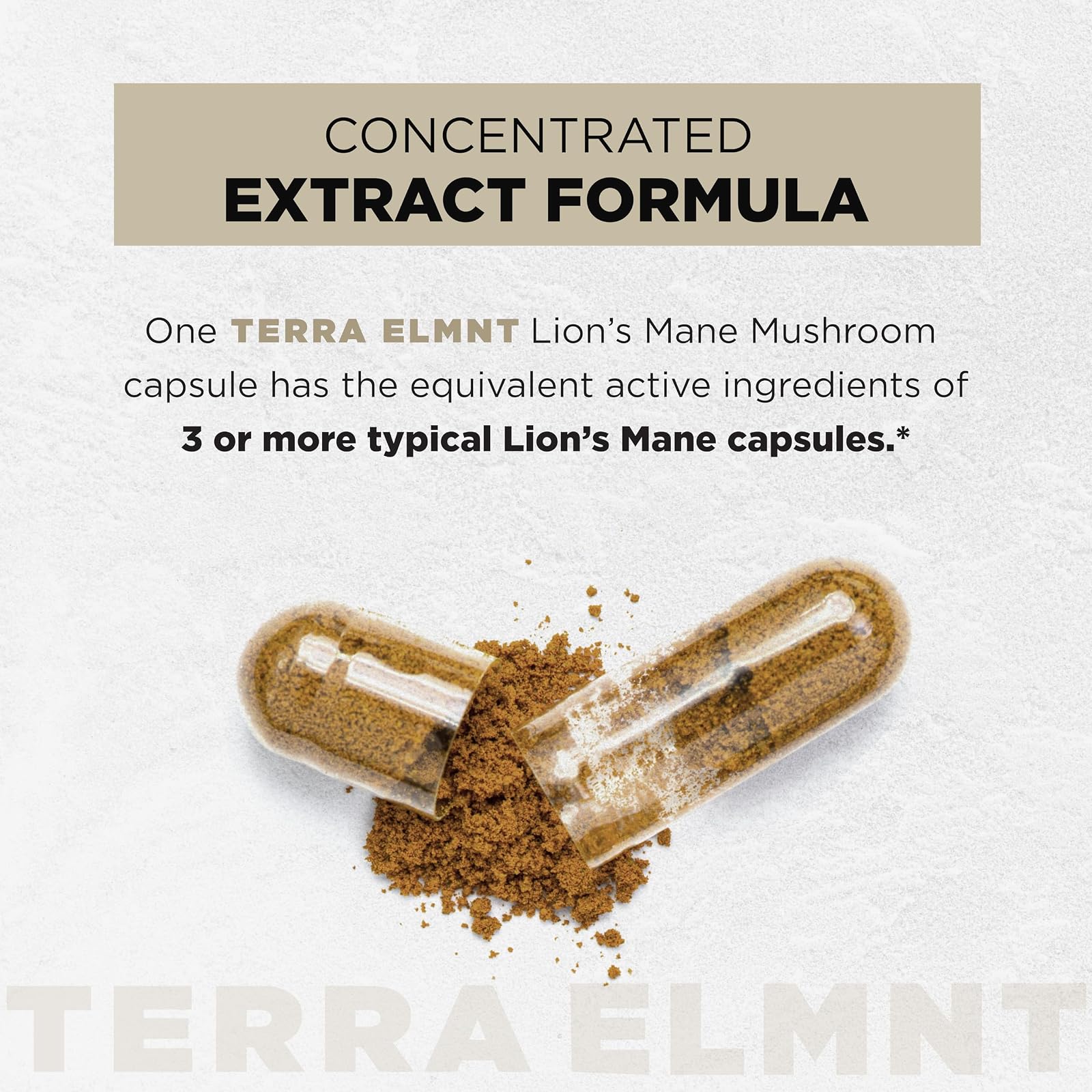 natural cognitive support lion's mane