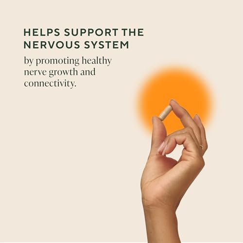 natural cognitive support lion's mane