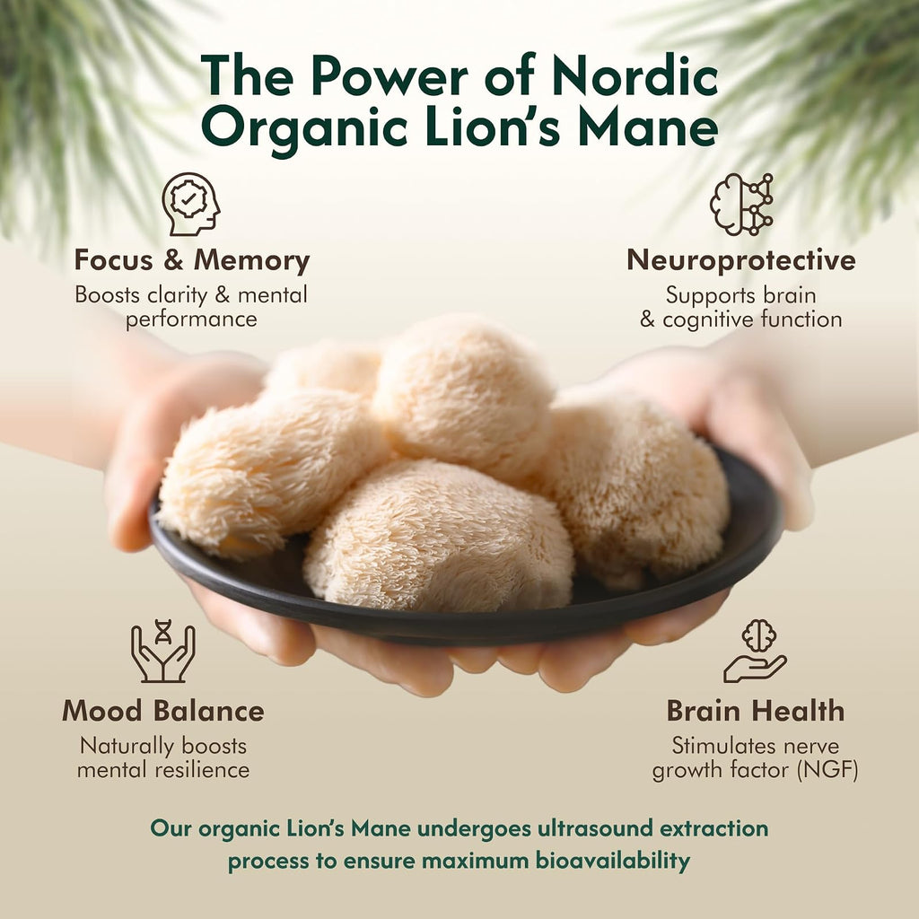 Natural cognitive support Lion's Mane