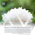 Natural cognitive support mushrooms