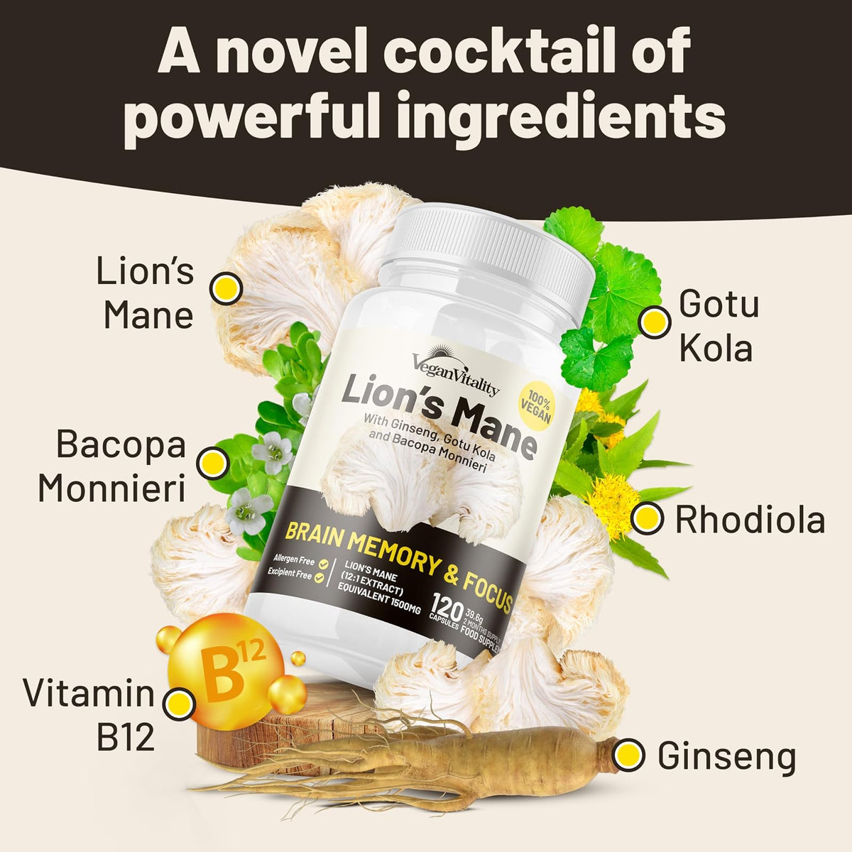 natural cognitive support mushrooms