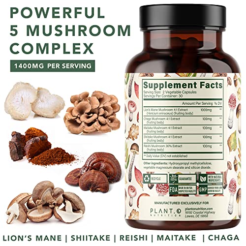 natural cognitive support mushrooms