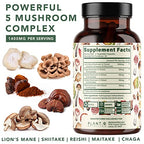 natural cognitive support mushrooms