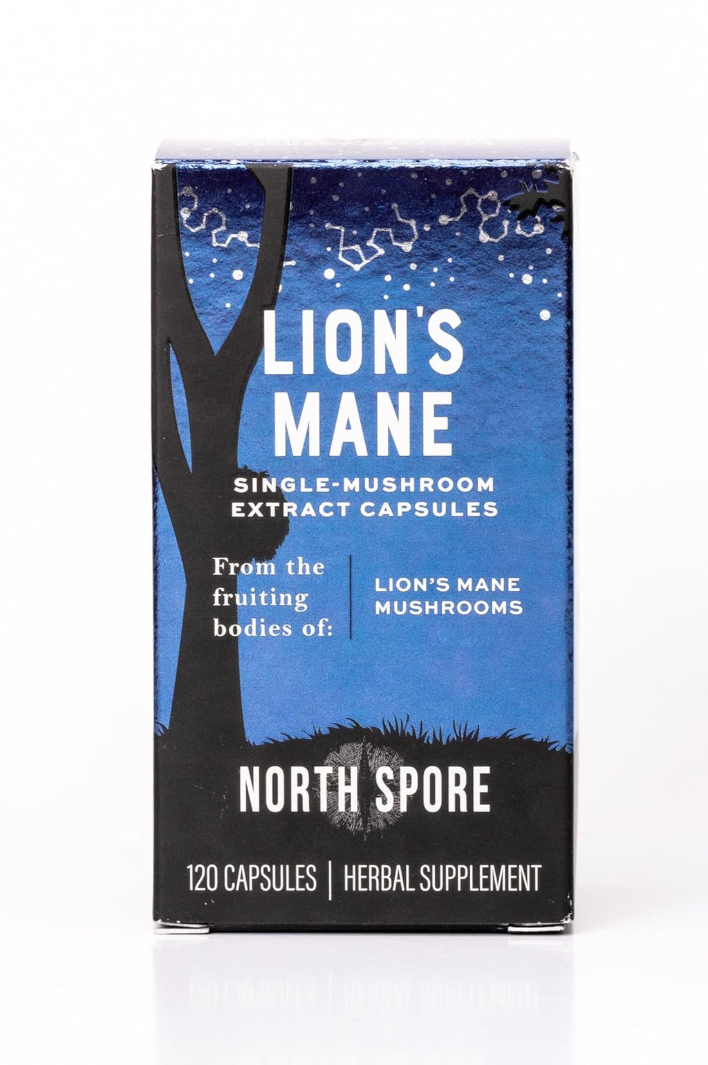 Natural cognitive support supplement