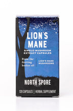 Natural cognitive support supplement