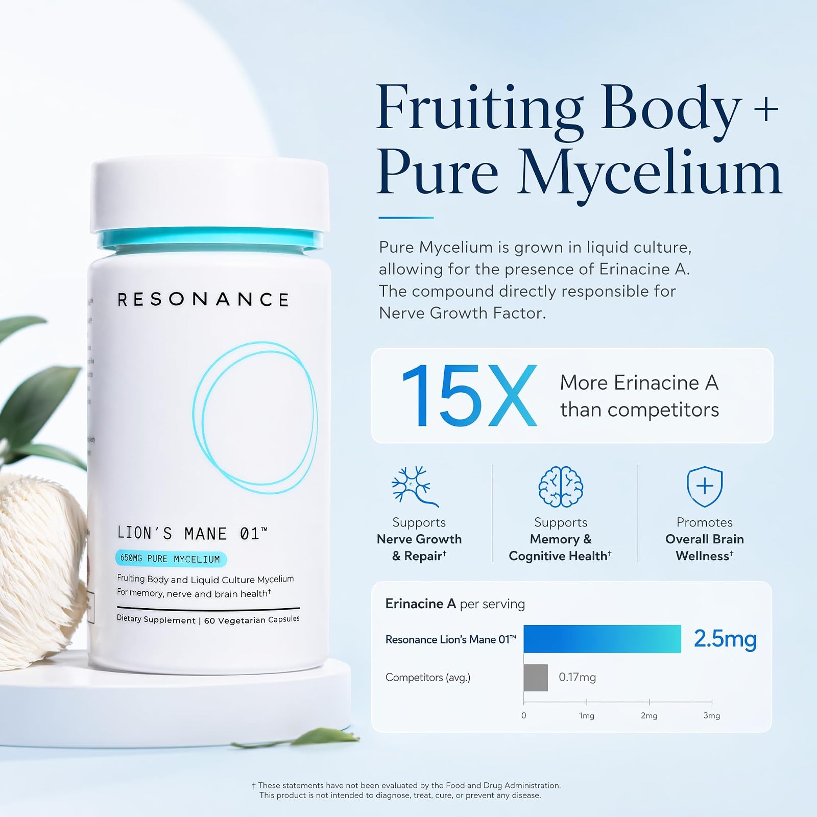 Natural cognitive support supplement