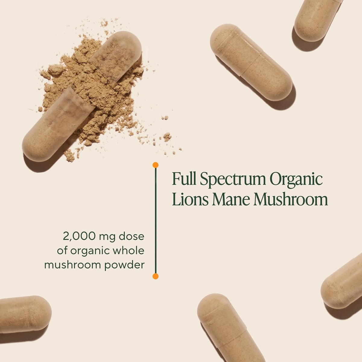 natural cognitive support supplement