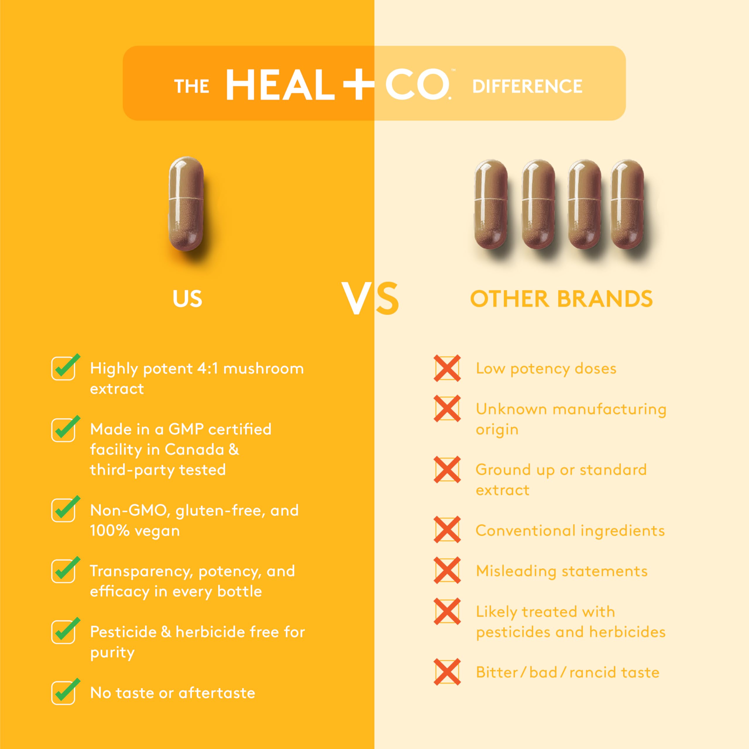Natural cognitive support with HEAL mushrooms