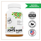 Natural cognitive support with Lion's Mane