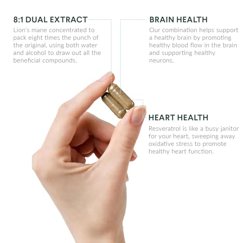 Natural cognitive support with Lion's Mane