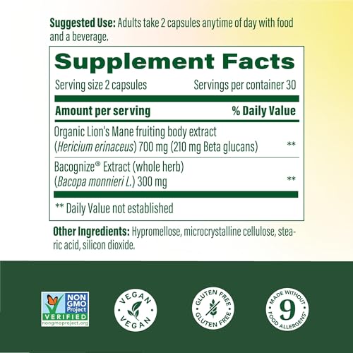 natural cognitive support with lion's mane