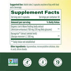 natural cognitive support with lion's mane