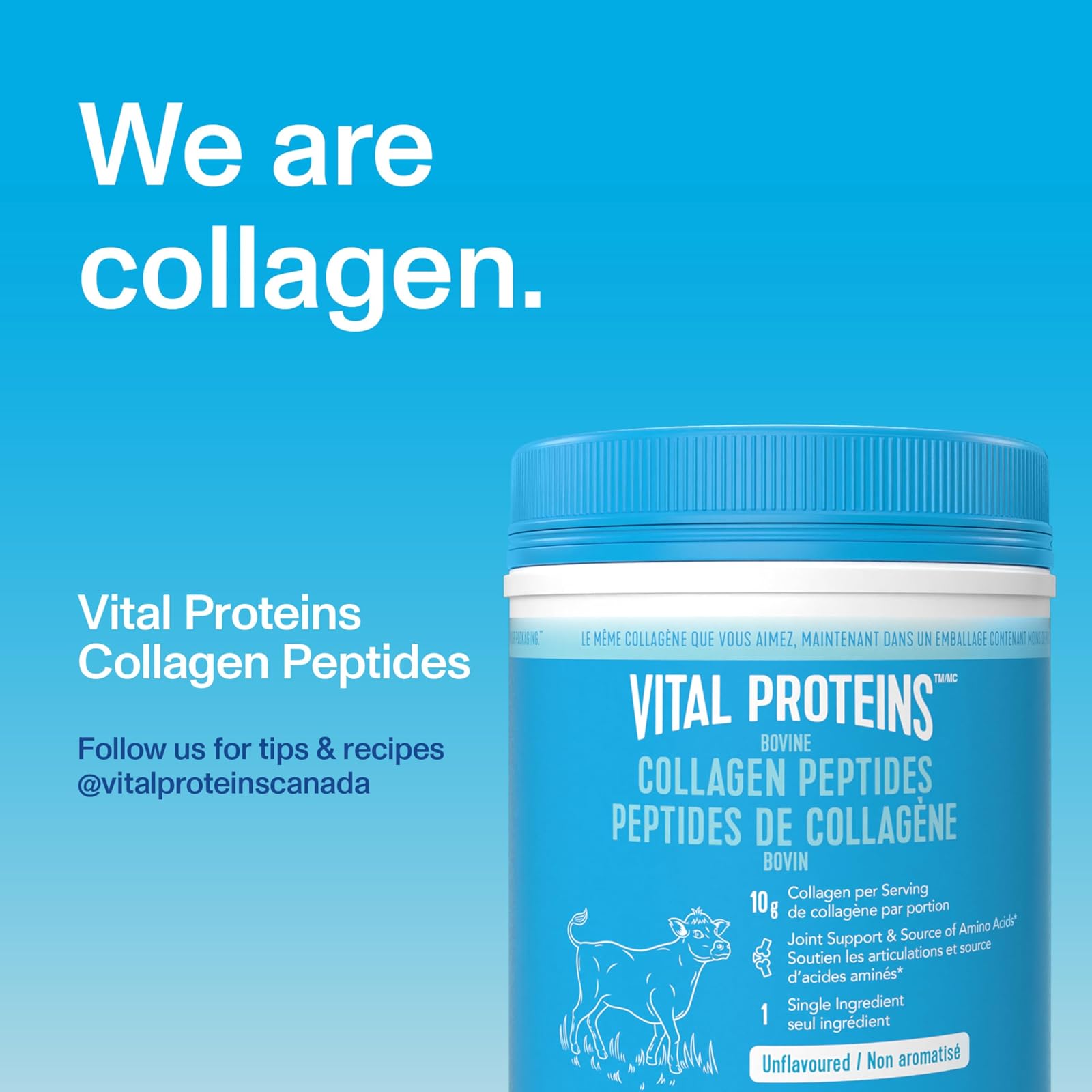 natural collagen for improved elasticity