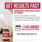 natural CoQ10 for active lifestyle