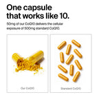 Natural CoQ10 for cellular energy