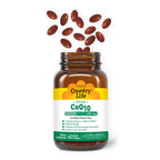 natural coq10 for everyday wellness