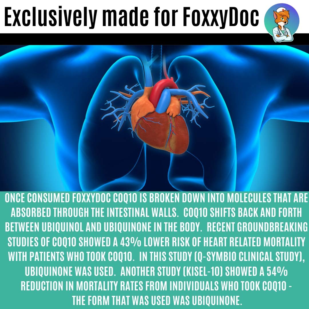 natural coq10 for improved vitality