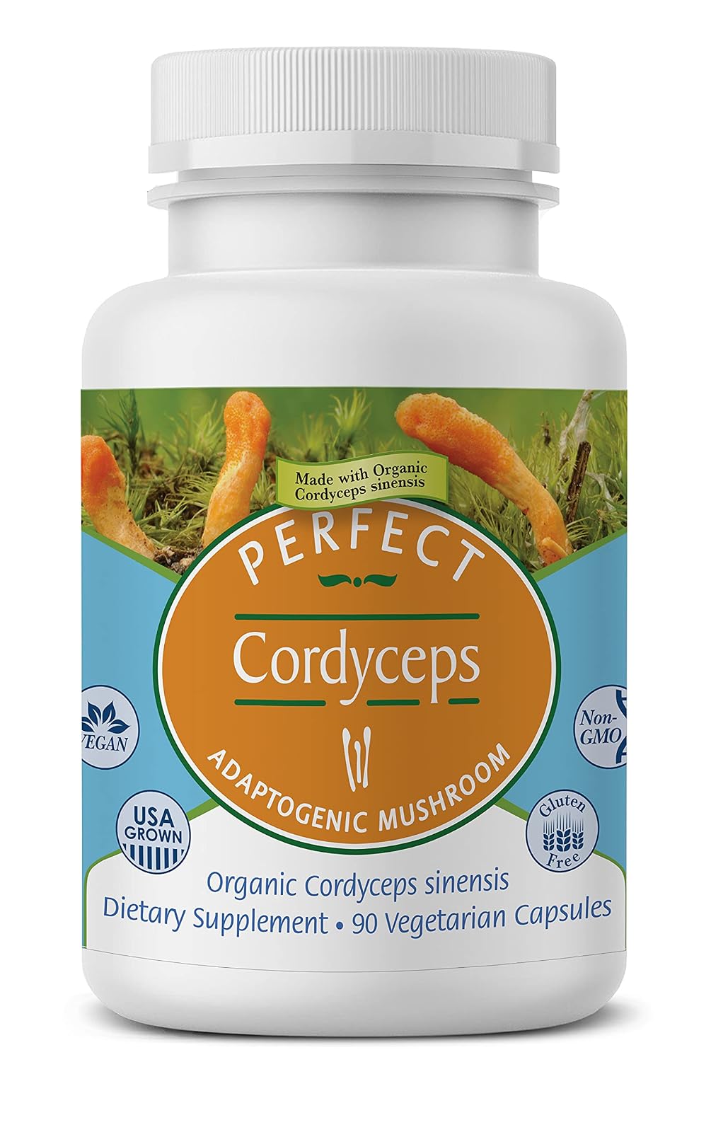 natural cordyceps for energy boost
