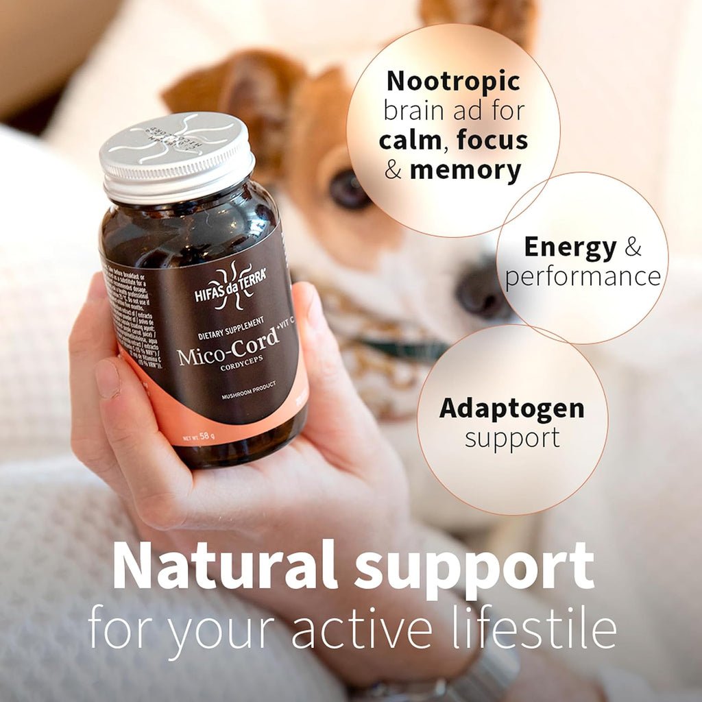 Natural Cordyceps mushroom powder supplement