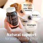 Natural Cordyceps mushroom powder supplement