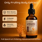 natural cordyceps mushroom supplement