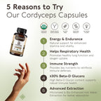 natural cordyceps supplement benefits