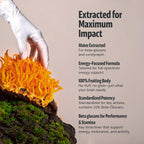 natural cordyceps supplement for vitality